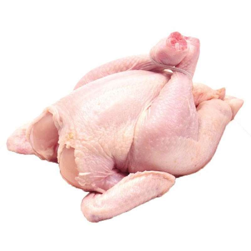 Jual AYAM BIG BROILER 12 UP 1250 GR di Seller Hyfresh Bojong Sari ...