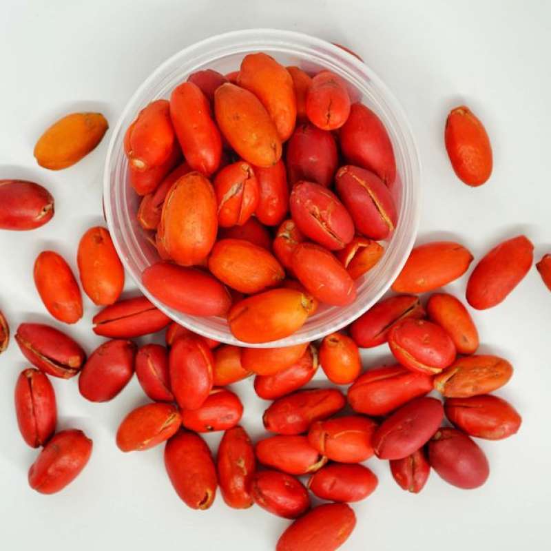 Jual BUAH MELINJO 1 PACK 250G di Seller SEGER SEGER MART - Kembangan ...