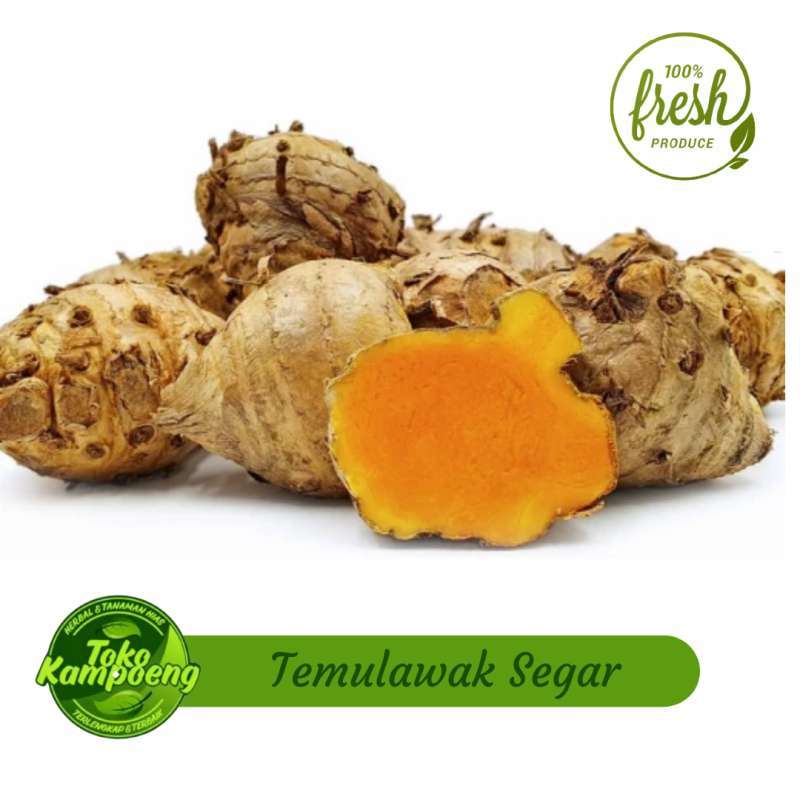 Jual Temulawak Segar 1 Kg - Temu Lawak - Herbal 100% Organik Di Seller ...