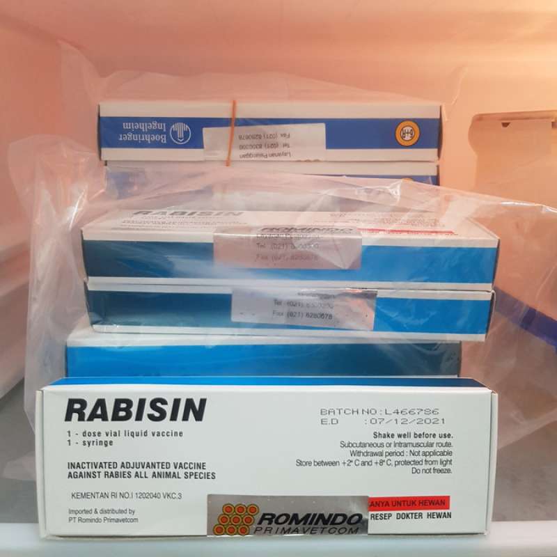 Jual Vaksin Rabies Terdekat 🏷️ Harga Grosir Murah Terupdate Hari Ini ...