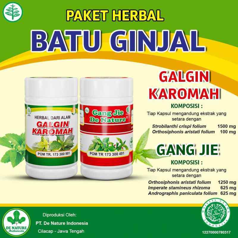 Jual Gang Jie Galgin - Obat Kencing Batu, Batu Empedu, Batu Ginjal, Ginjal Bengkak, Ginjal Bocor ...