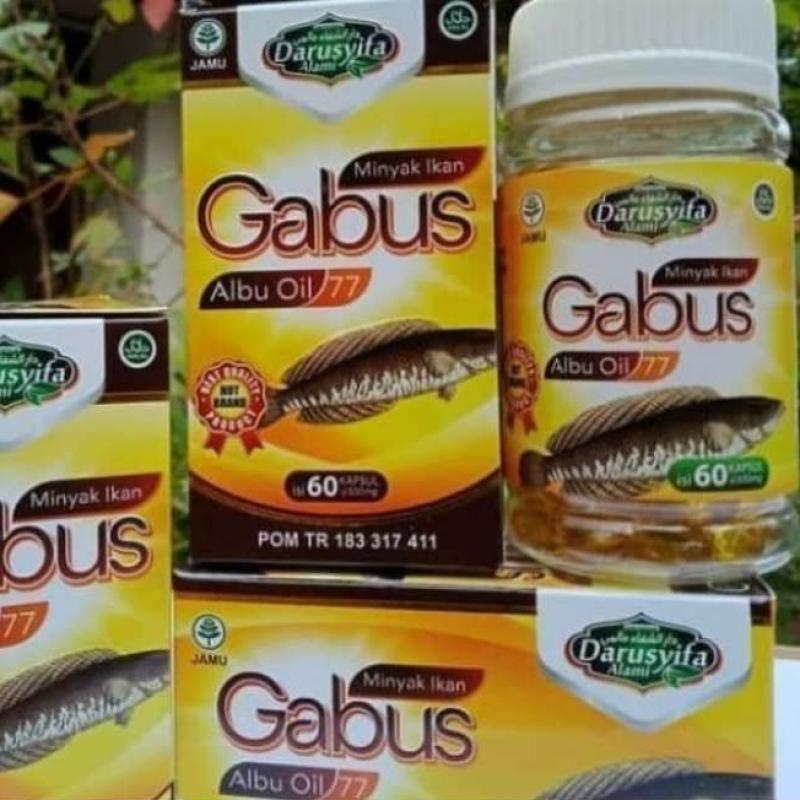 Promo Minyak Ikan Gabus Albu Oil 77 60 kapsul Darusyifa Diskon 35% di Seller Herbal Pondok Cabe ...