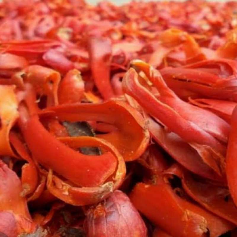 Bunga Pala Kering Gratis Ongkir 🔥 Harga Murah Oktober 2025