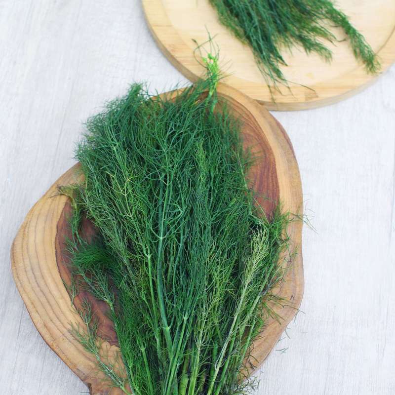 Jual Daun Dill Terbaru - Harga Murah | Blibli.com