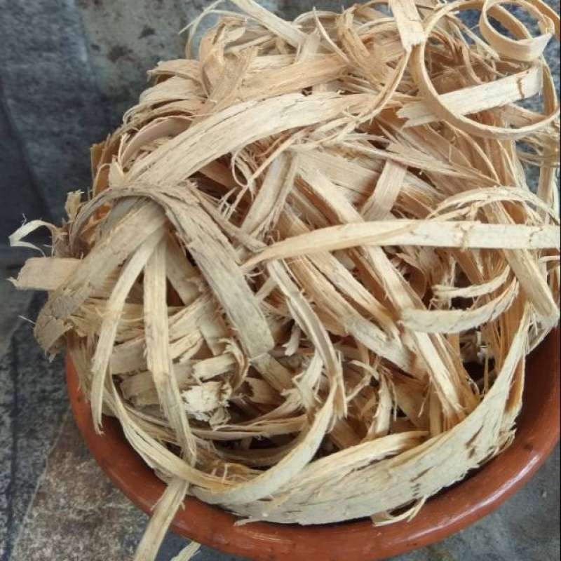 Promo Pilihan!! Bidara Laut atau Widoro Laut Asli 100gr Diskon 27% di ...