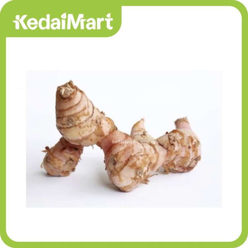 Jual Lengkuas Per Kilo Terdekat 🏷️ Harga Grosir Murah Terupdate Hari ...