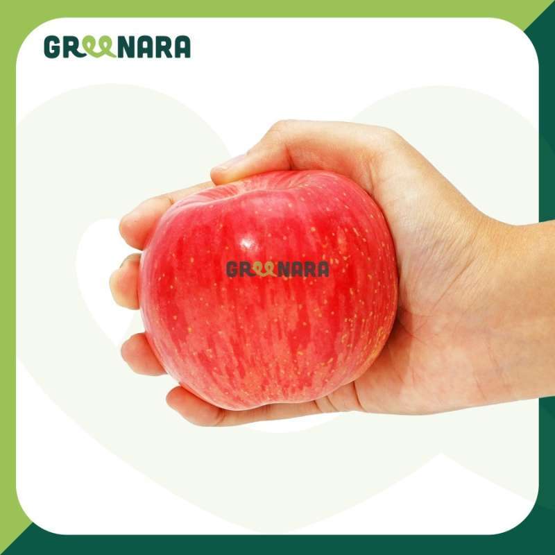 Jual Apel Fuji 1kg Di Seller Greenara - Sukapura, Kota Jakarta Utara ...