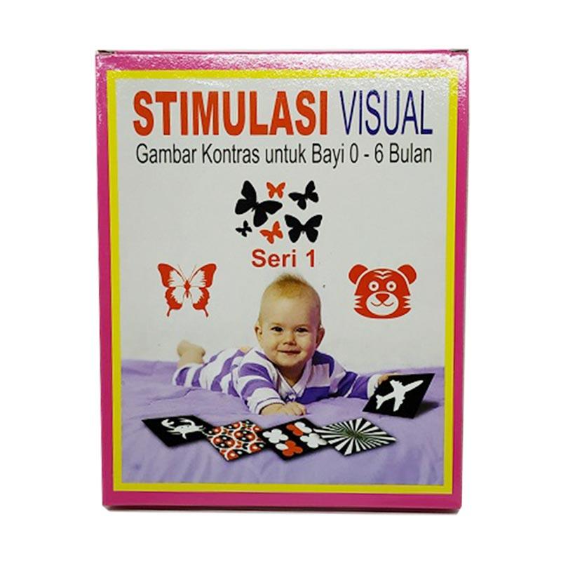Jual Visi Victory Flashcard Kartu Pintar Belajar Stimulasi Visual ...