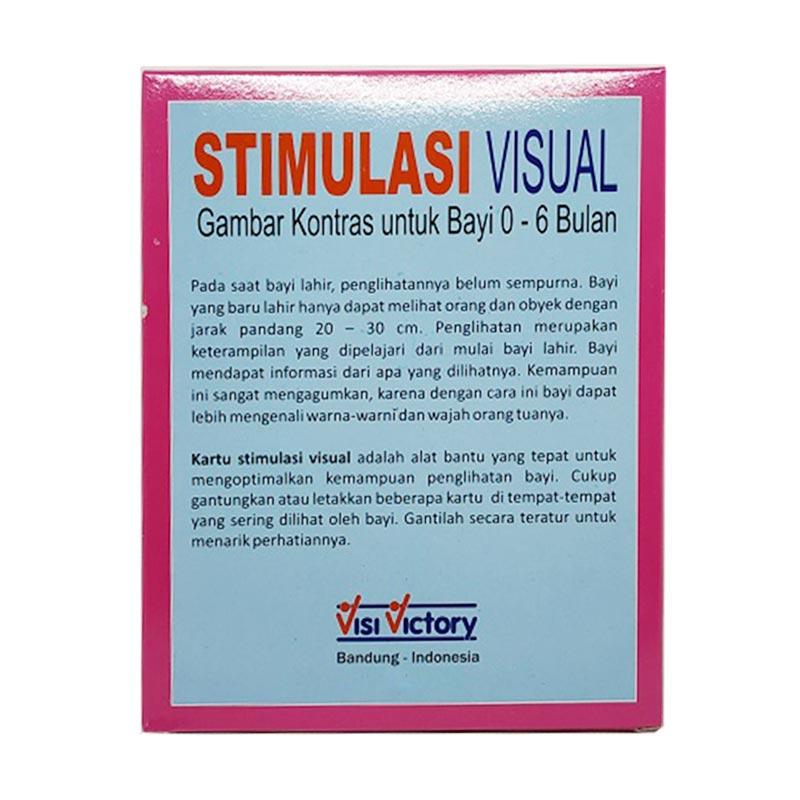 Jual Visi Victory Flashcard Kartu Pintar Belajar Stimulasi Visual ...