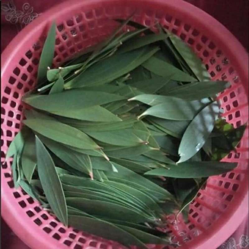 Jual 1 KG DAUN KAYU PUTIH KERING HIJAU ATAU FRESS (PREMIUM QUALITY) di ...