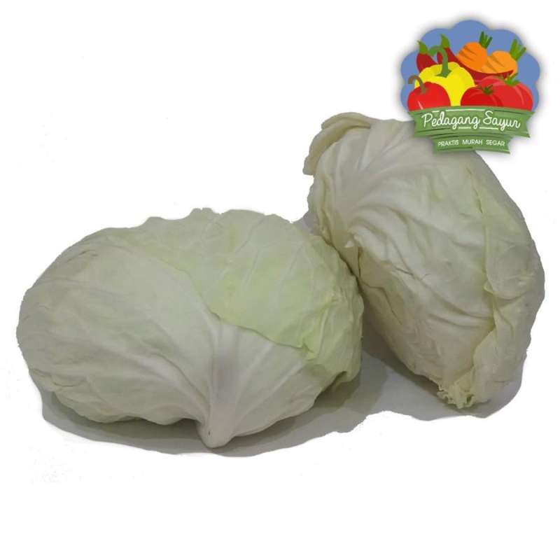 Kol Kubis Putih 500 Gram Gratis Ongkir 🏷️ Harga Murah Januari 2026
