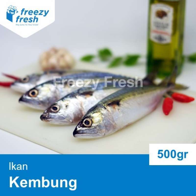 Jual Freezy Fresh Ikan Kembung Banja [500g] di Seller Freezy Fresh ...