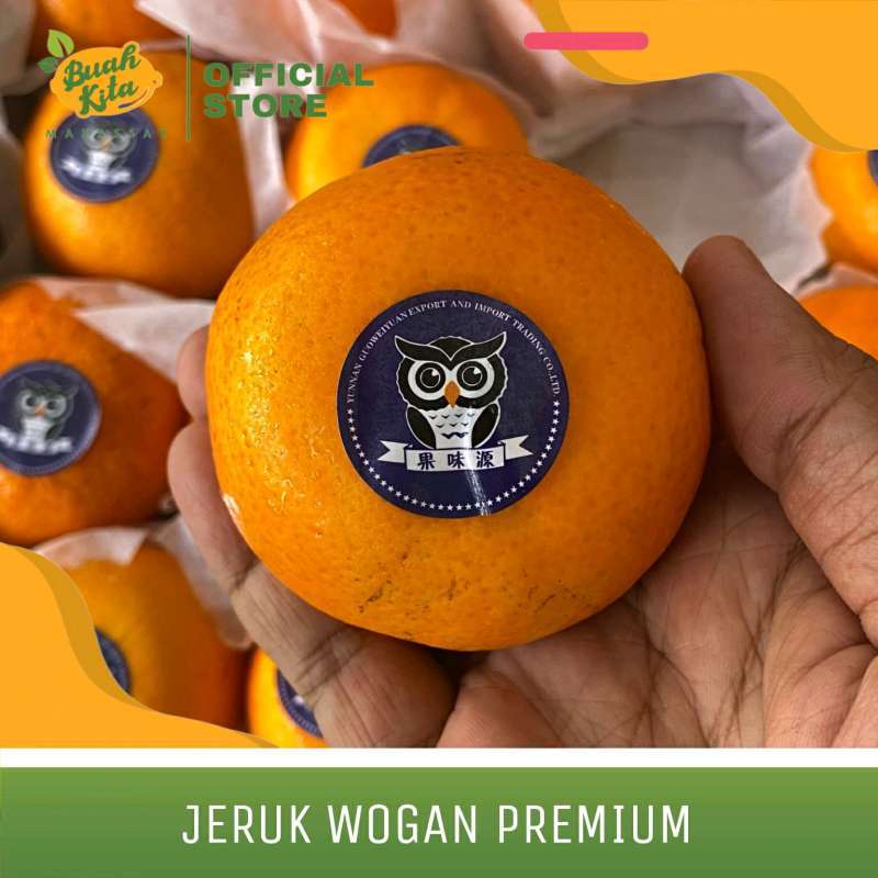 Jual Jeruk Wogan Mandarin Harga Grosir Juli 2024 - Blibli