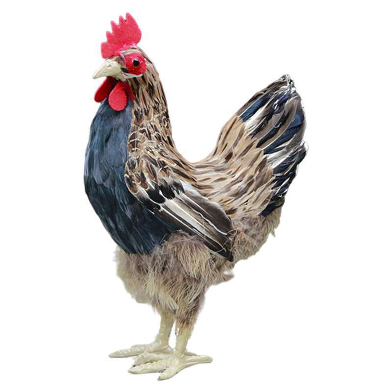 Promo Lifelike Hen Model Realistic Chicken Statue Realistic Animal ...