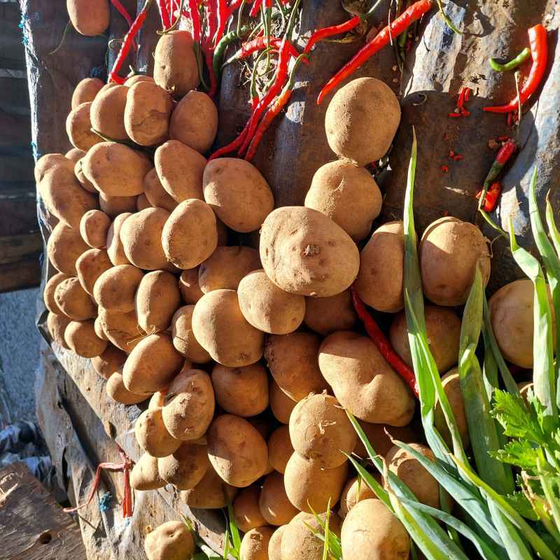 Jual kentang 1kg Halal di Seller Bilqis sayur segar - Pancoran Mas ...