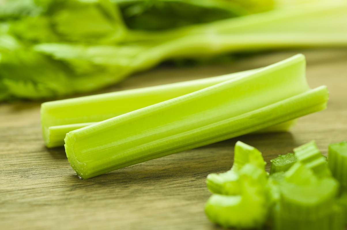 Promo HasilSumberalaM Sayur Batang Seledri Bersih Tanpa Daun / Prep ...