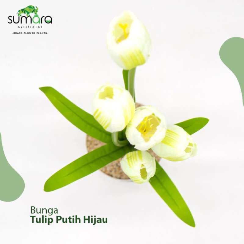 Bunga Tulip Hijau