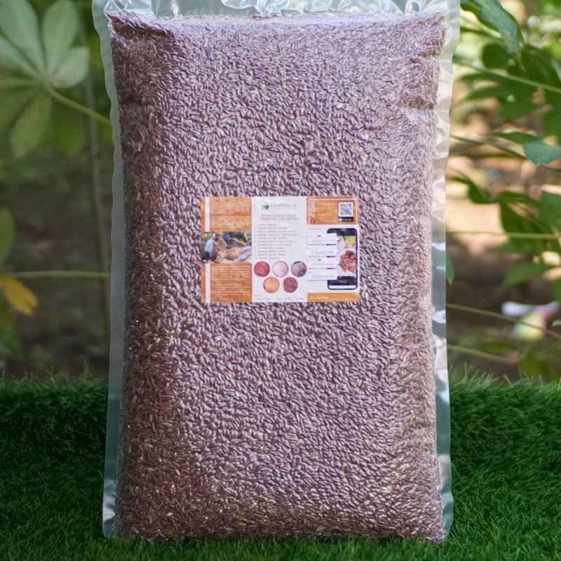Jual Beras Merah Huma Pecah Kulit FRESH langsung dari Petani (5kg ...