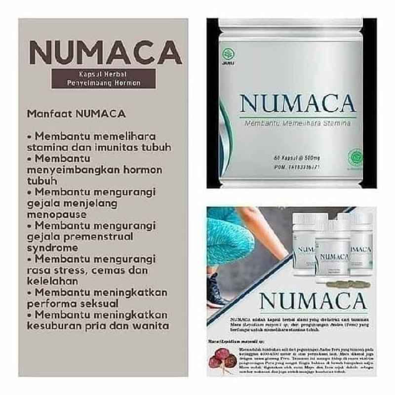 Jual Numaca Hwi Penyubur Kandungan Vitamin Ibu Hamil [60 Capsul] Di ...