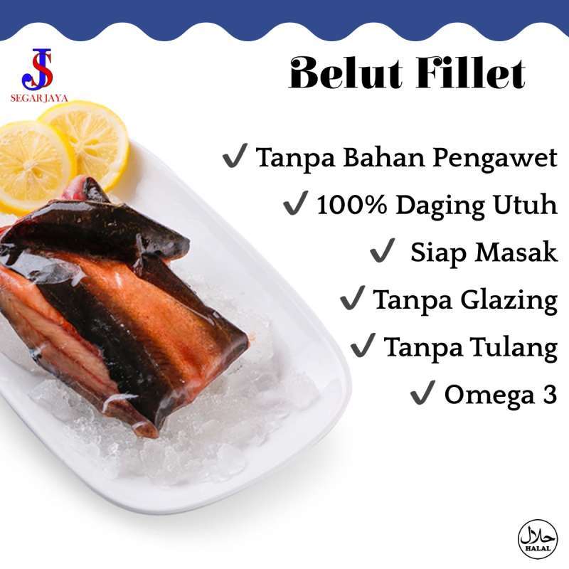 Jual Ikan Belut Fillet Fresh Segar Halal Di Seller Rumah Ikan Segar ...
