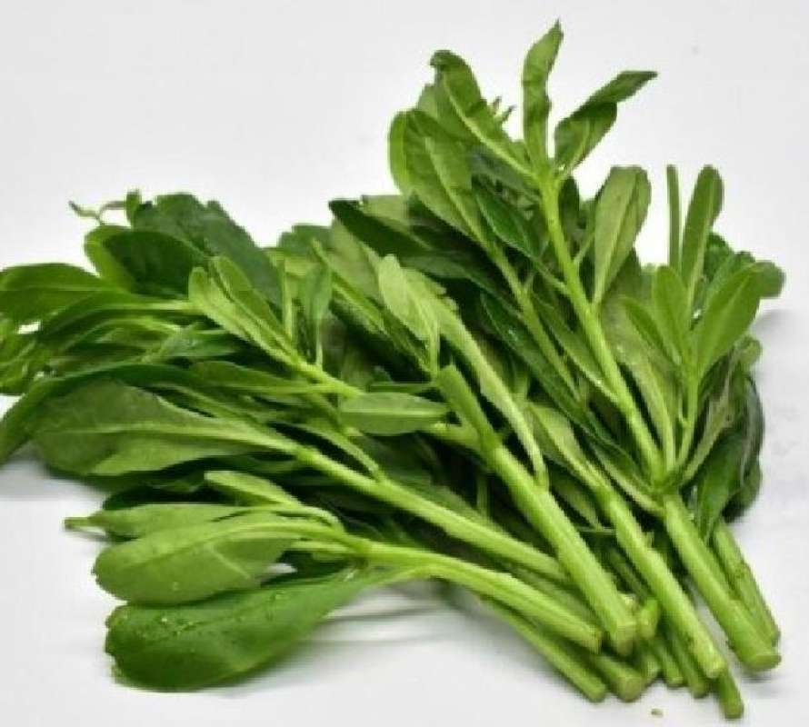 Jual Daun Ginseng Segar 1 KG di Seller SayurWoori - Kota Jakarta Pusat ...