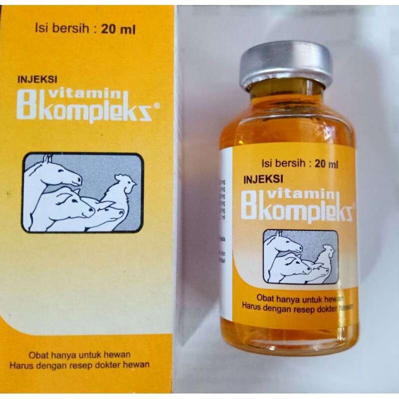 Jual Vitamin B Kompleks Injeksi 100 Ml Original Murah - Harga Diskon ...