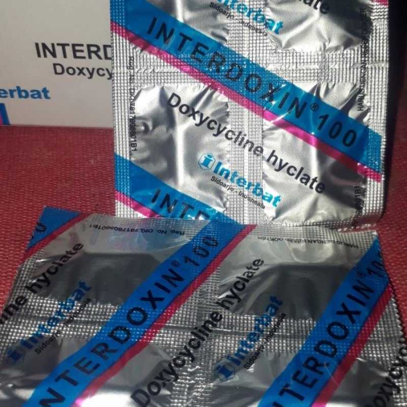 Promo Ori Pabrik Inter doxin 100 stripan isi 4 kapsul Diskon 15% di ...