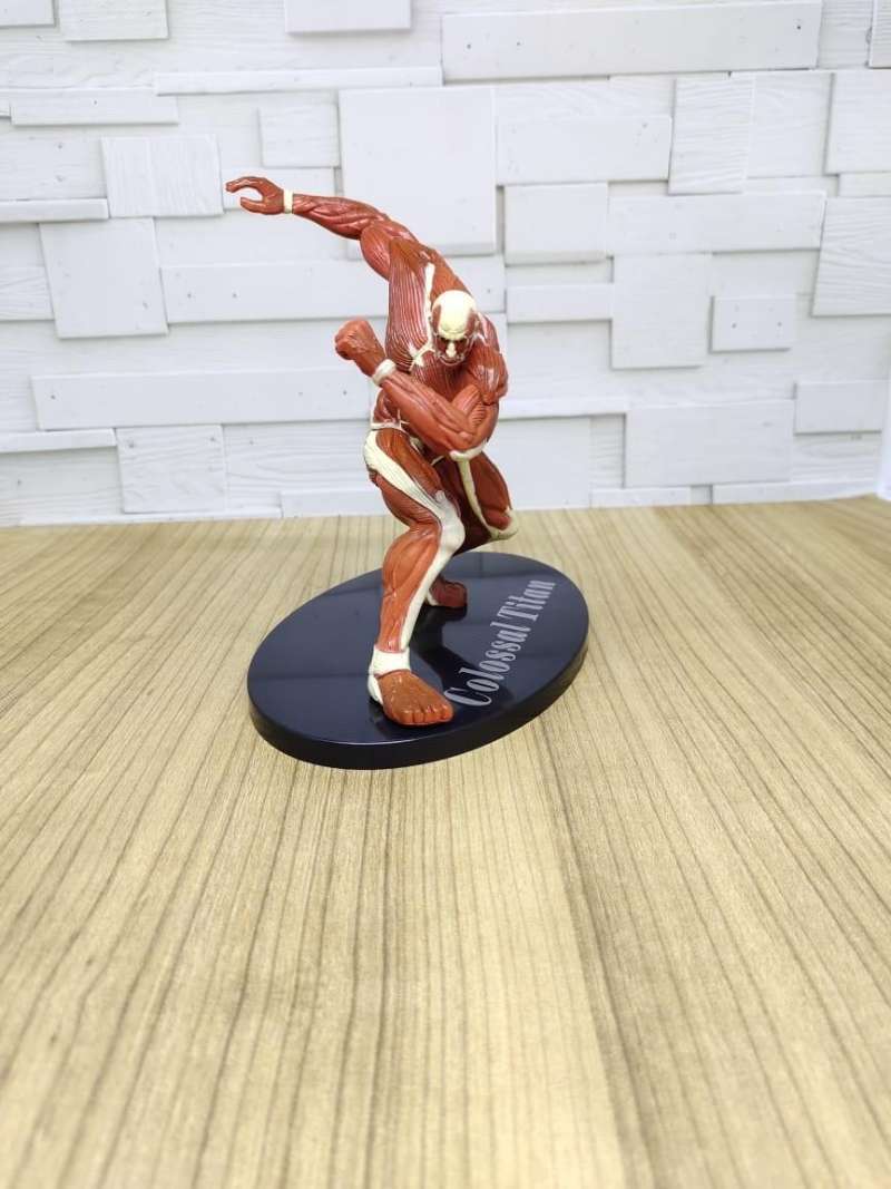 Jual Action Figure Attack On Titan Colossal Titan Di Seller Antique ...