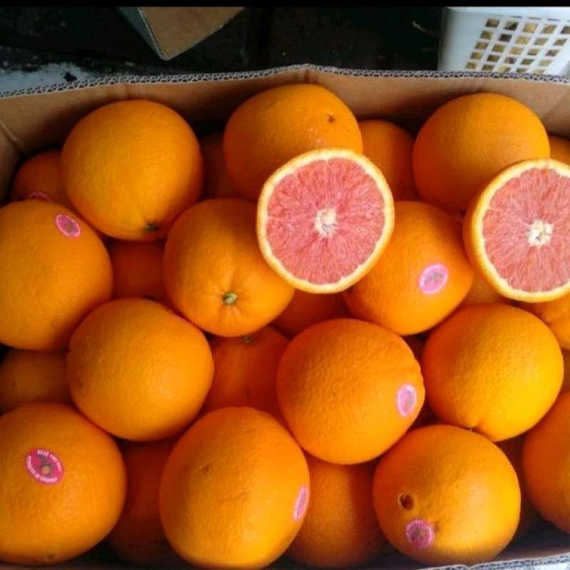 Jual Buah Sunkist Merah Cara Cara 1kg Halal di Seller Clarif_jaya ...