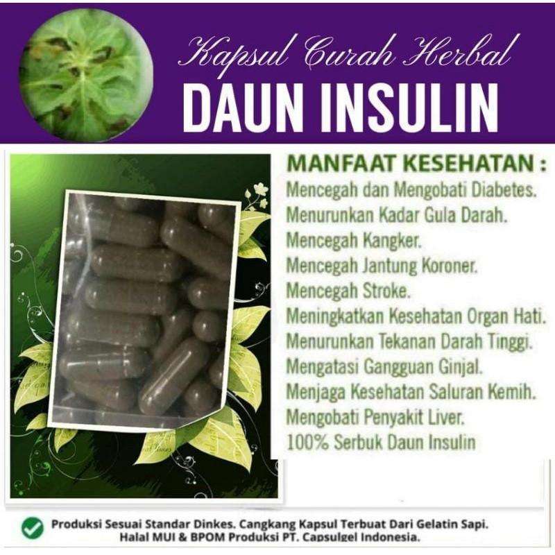 Jual Insulin Kapsul 🏷️ 100% Original, Harga & Kualitas Terbaik Januari 2025