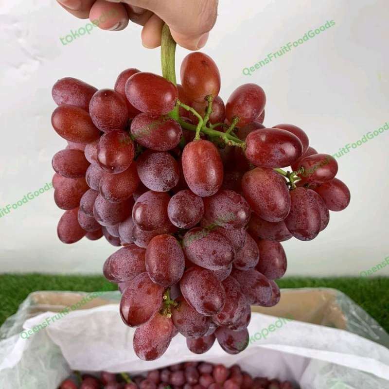 Jual Buah Anggur Crimson China perkrat perkilo di Seller QeenFood ...