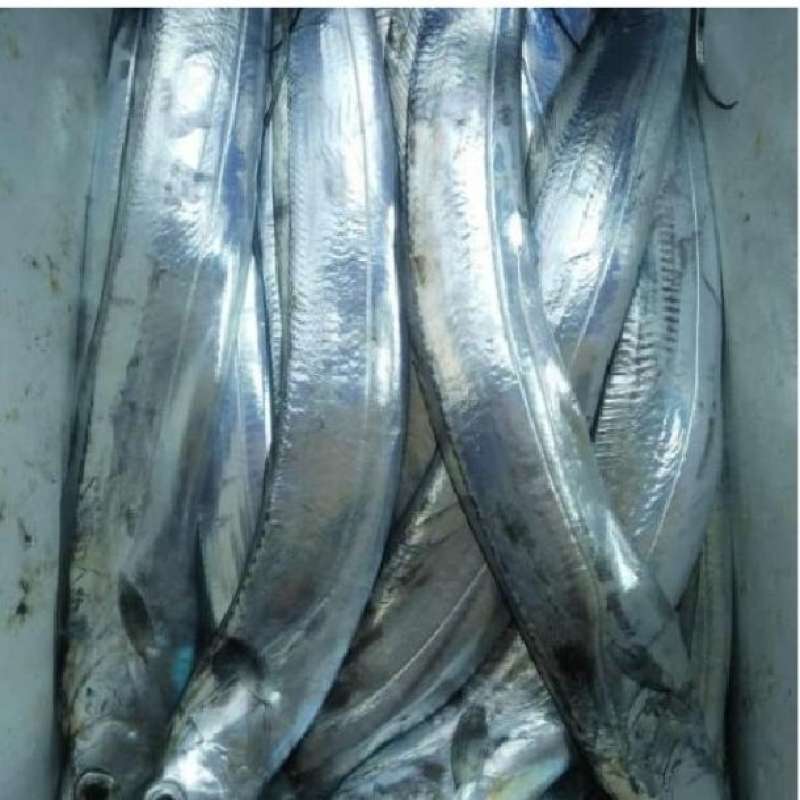 Jual ikan layur fresh 500 gr Halal di Seller sayur segar bekasi - sayur ...