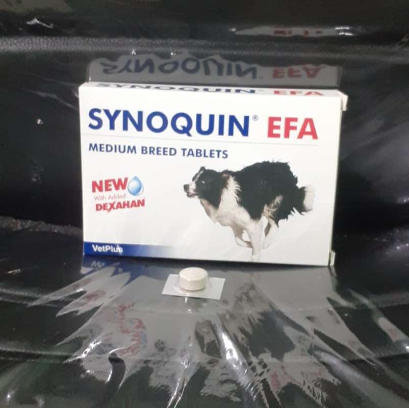 Jual Synoquin EFA medium breed per tablet di Seller Fuschia Store ...