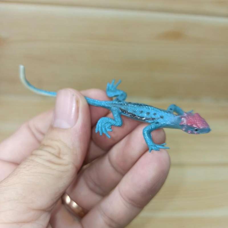 Jual Mainan Hewan Karet Mini Cicak Warna Di Seller Anekabarangunik77 ...