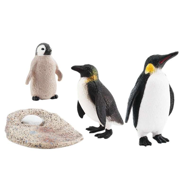 Promo Penguin Growth Cycle Toys Educational Toy Animal Life Cycle Model ...