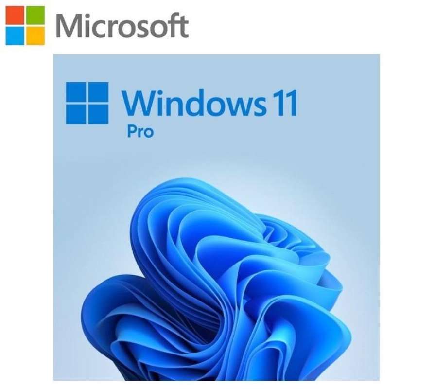Jual Microsoft Windows 11 Pro Oem 64-bit Version Di Seller Tf Com ...