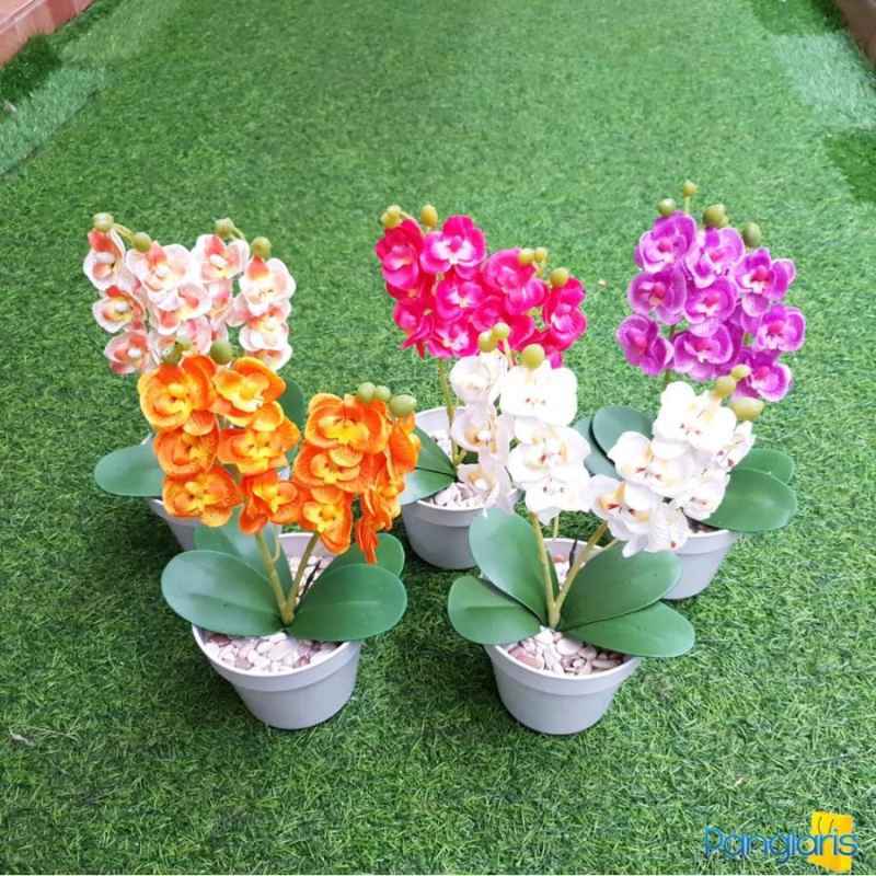 Jual Bunga Plastik Anggrek Mini Ukuran Jumbo Dekorasi Ruangan Rak ...