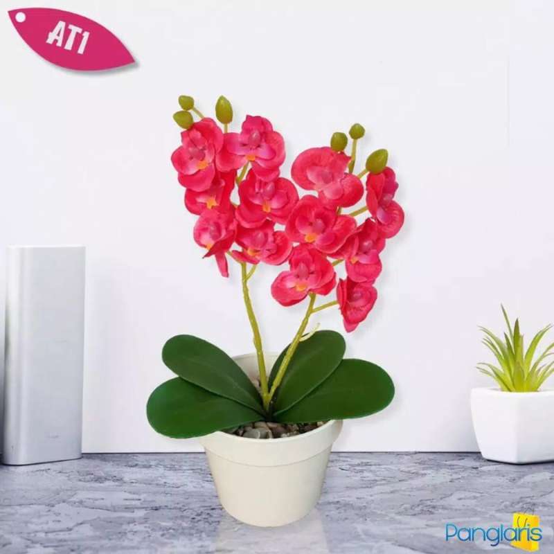 Jual Bunga Plastik Anggrek Mini Ukuran Jumbo Dekorasi Ruangan Rak ...