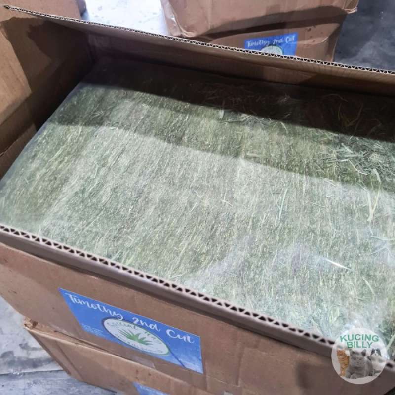 Jual 1kg SPECIAL hay Timothy HAY di Seller Enigma - Kapuk, Kota Jakarta ...