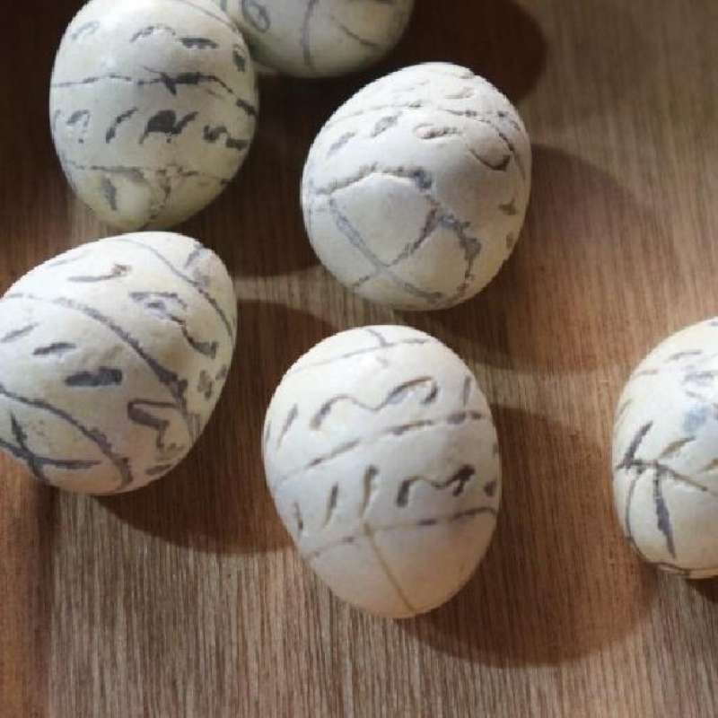 Jual Telur Batu Rajahan Di Seller Bunga Terate 99 - Cengkareng Timur ...