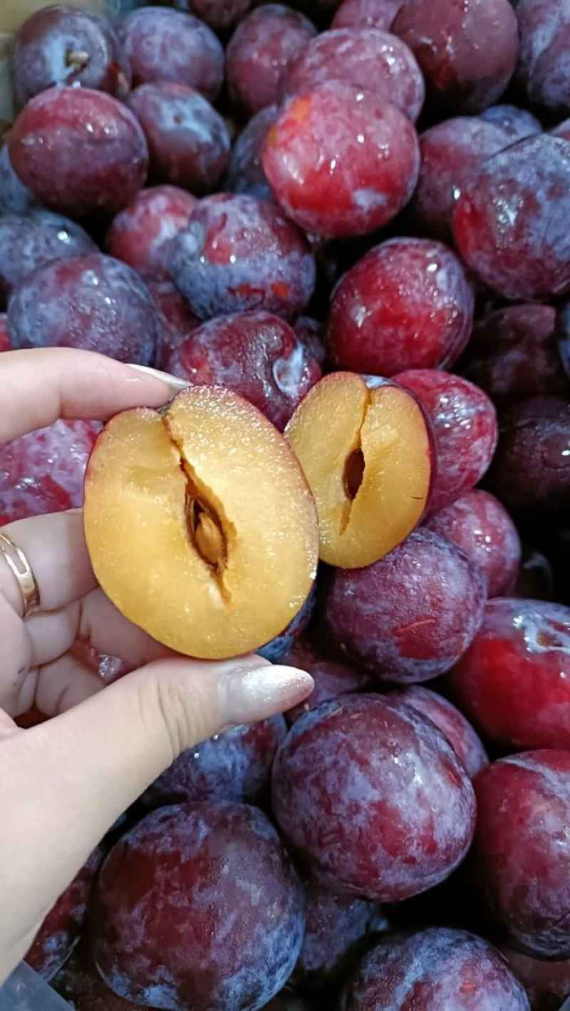 Jual Buah Plum Australia 1 Pack 500Gram di Seller CMF Shop - Kota ...