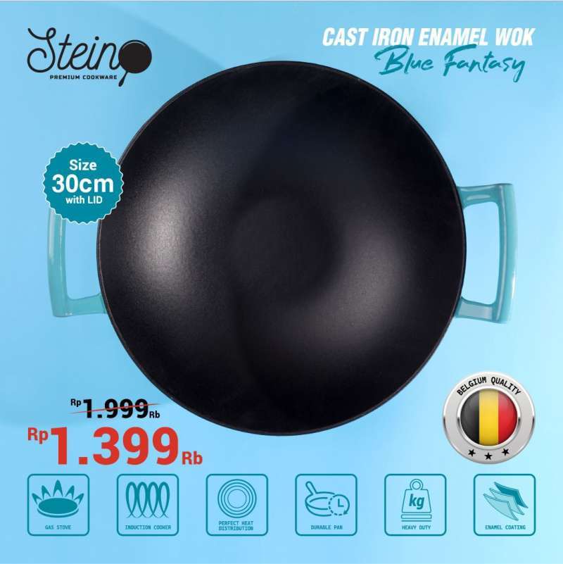 Jual Steincookware Stein Cast Iron Enamel Wok 30 Cm | Inner Coating ...