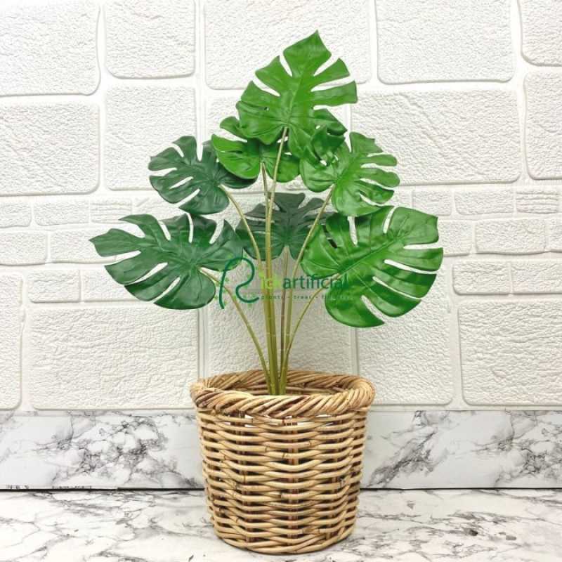 Promo Pohon Daun Monstera Deliciosa X7 Latex Artificial Cover Rotan ...