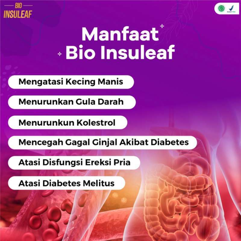 Jual Bio Insuleaf Solusi Tepat Terapi Penyembuhan & Pencegahan Diabetes ...