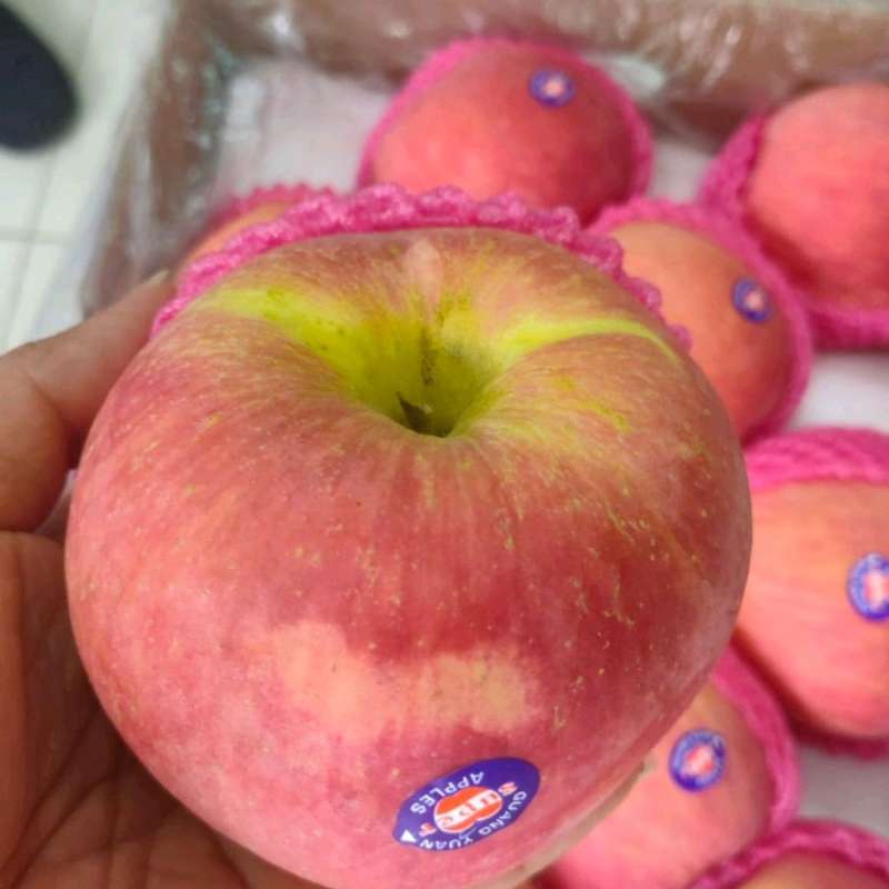 Jual Apel Fuji Premium Fresh Apple di Seller Clarif_jaya - Kota Jakarta ...