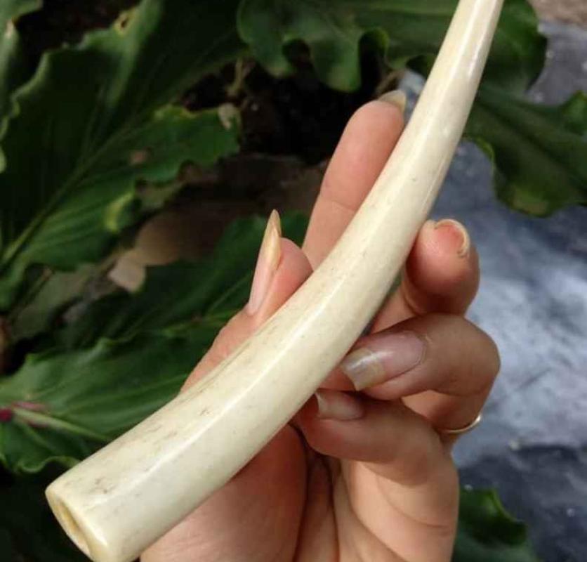 Jual Rokok Hd Putih Original, Murah & Diskon Juni 2024 | Blibli