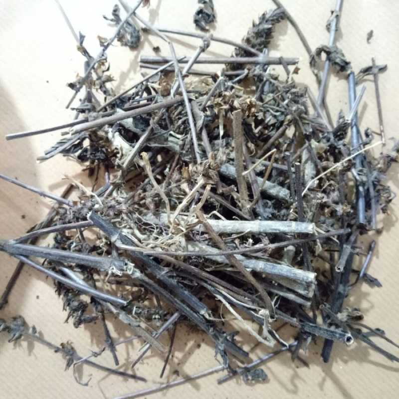 Promo Ng Nyong Cho / Ng Nyiong Cho Obat Masuk Angin Diskon 23% di Seller Humaira Healthy Care ...