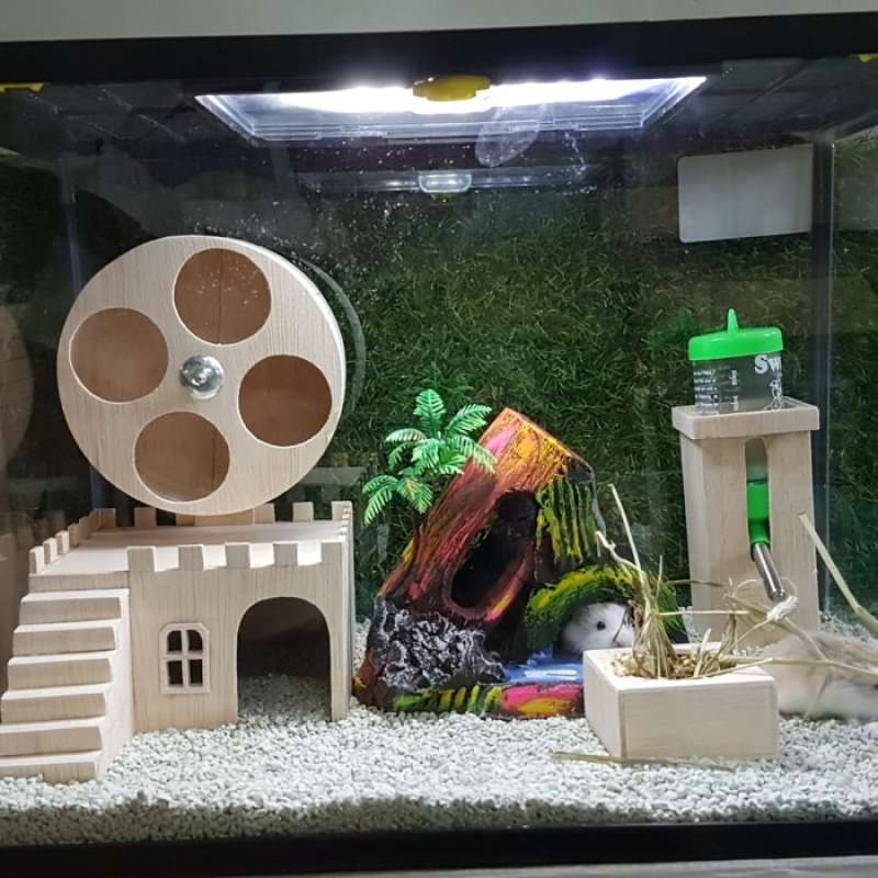 Promo Terarium Kandang Hamster Large , Jungle Theme Aquarium Hamster ...