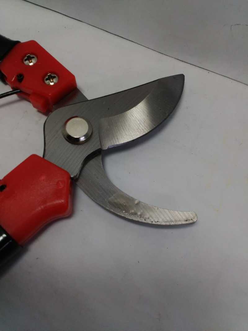 Gunting Tanaman - Harga Terbaru Mei 2024 | Blibli