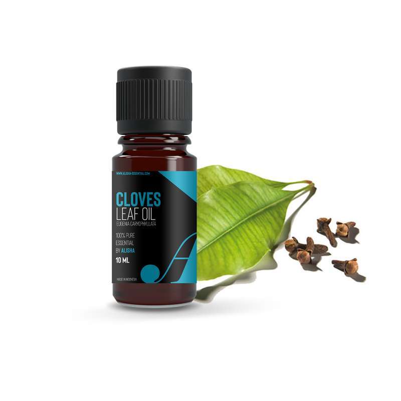 Jual Cloves Leaf Oil Minyak Atsiri Daun Cengkeh Murni Di Seller The Herbs - Padasuka, Kab ...
